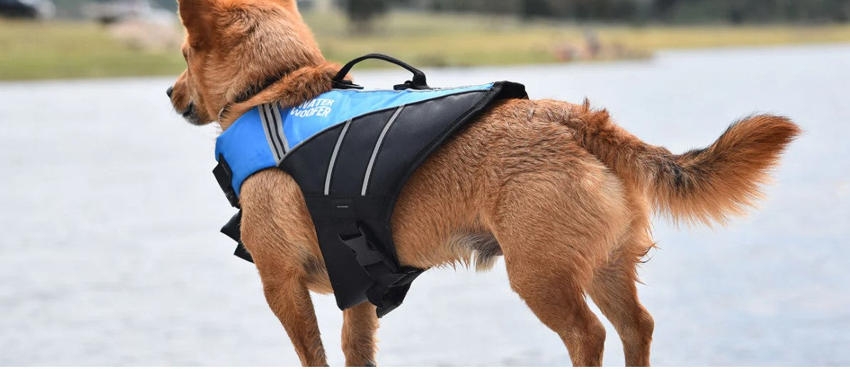 Water Woofer DFD (Dog Floatation Device) Medium Blue (Chest Size 43-76